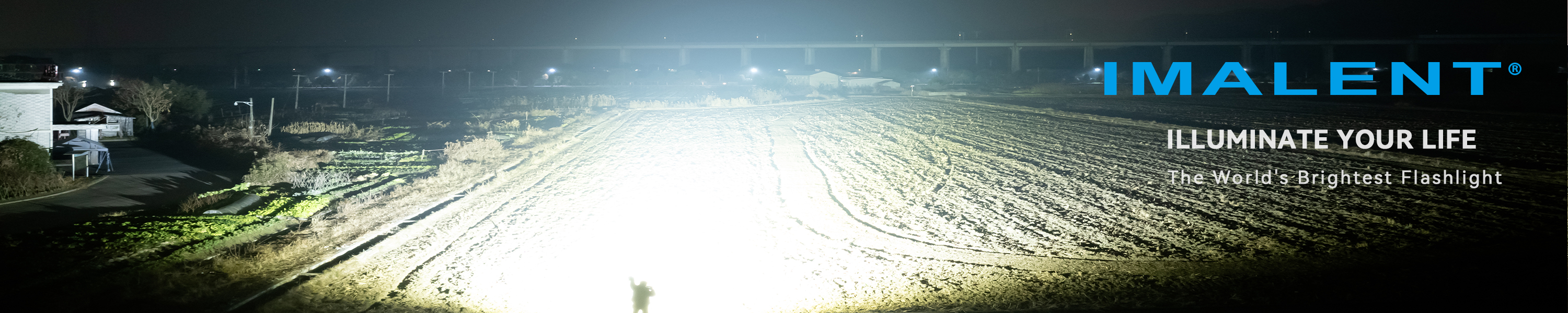 Amazon.ae: IMALENT: Brightest Torches