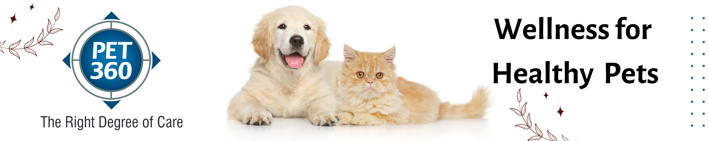 Amazon.in: PET360: Multivitamins and digestive care