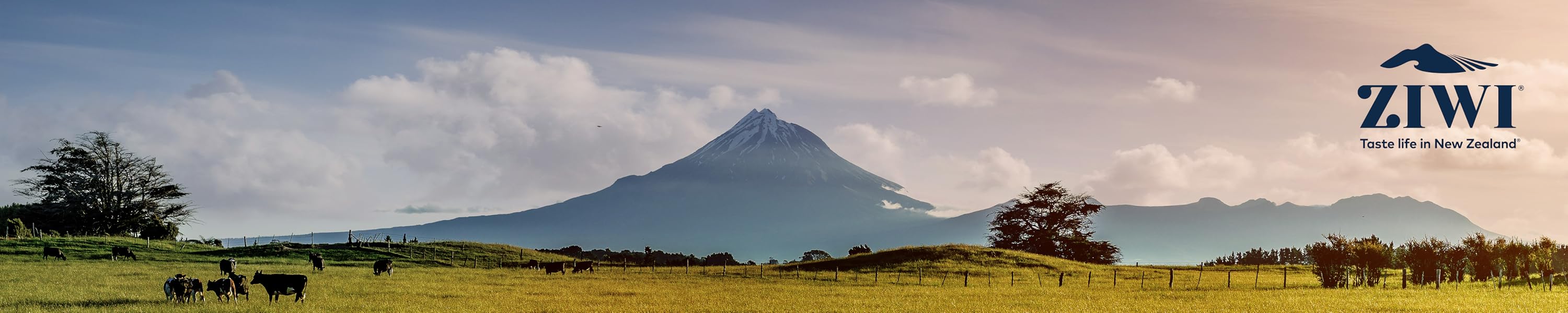 Amazon.fr: ZIWI Peak: Our Innovations