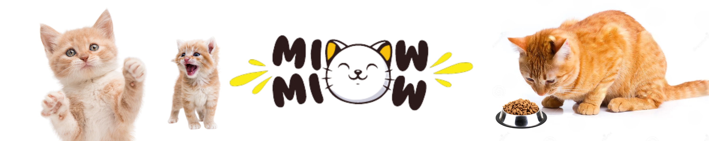 Amazon.in: TAIYO MIOW MIOW: Adult