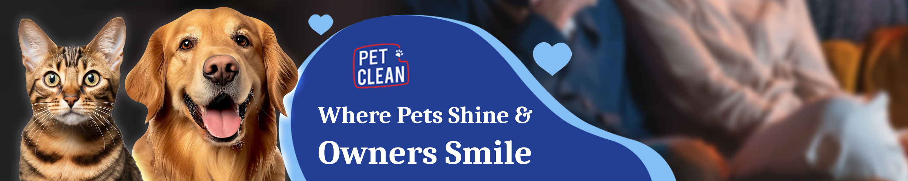 Amazon.in: PET CLEAN: COLONGE & PERFUME