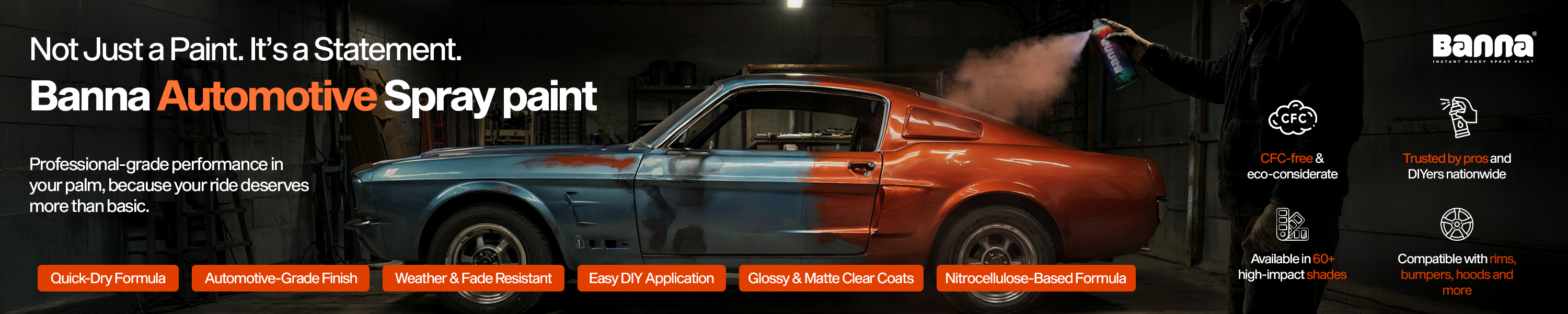 Amazon.in: BANNA SPRAY PAINT: Maruti Suzuki