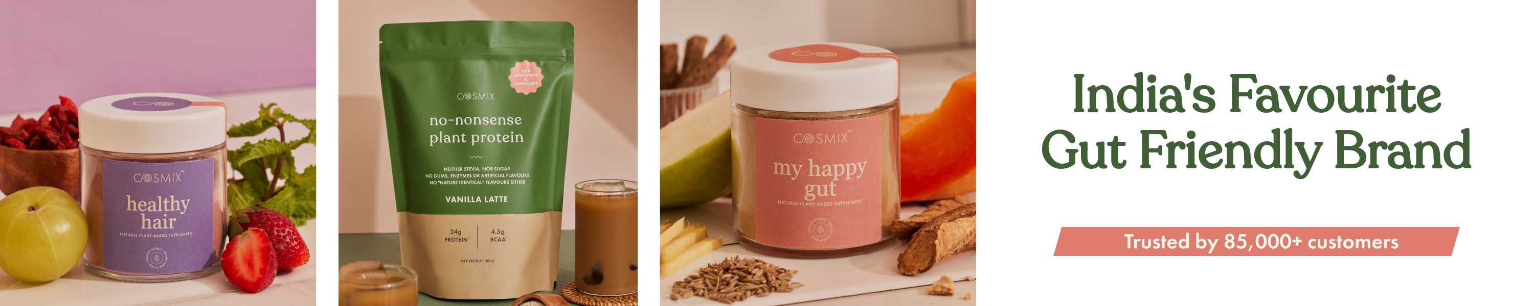 Amazon.in: COSMIX: Protein