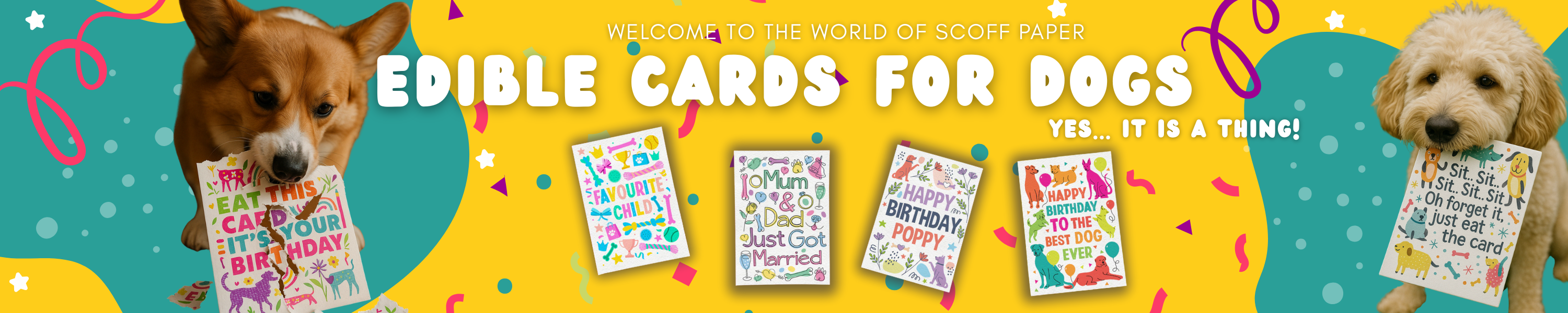 Amazon.co.uk: Scoff Paper: Edible Cards For Dogs