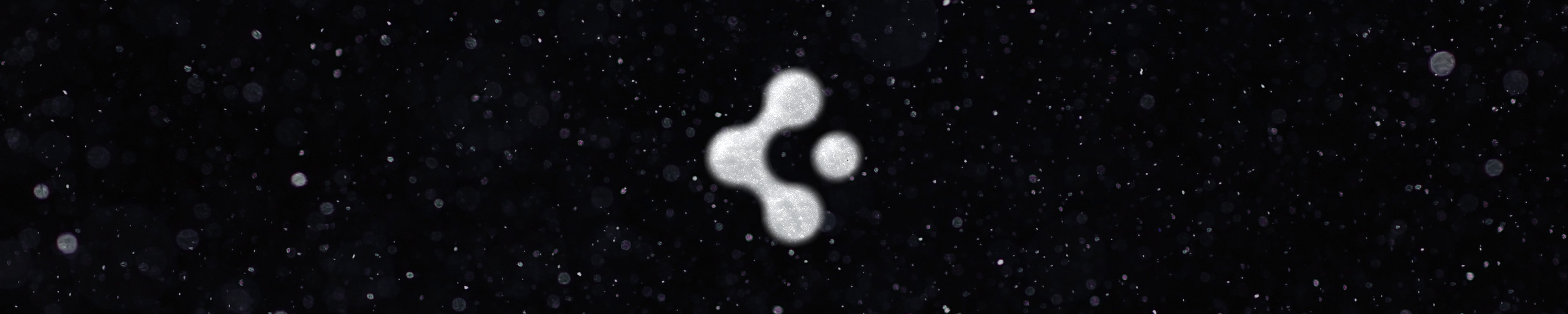 Amazon.de: Spigen: Galaxy S25, S25 Plus