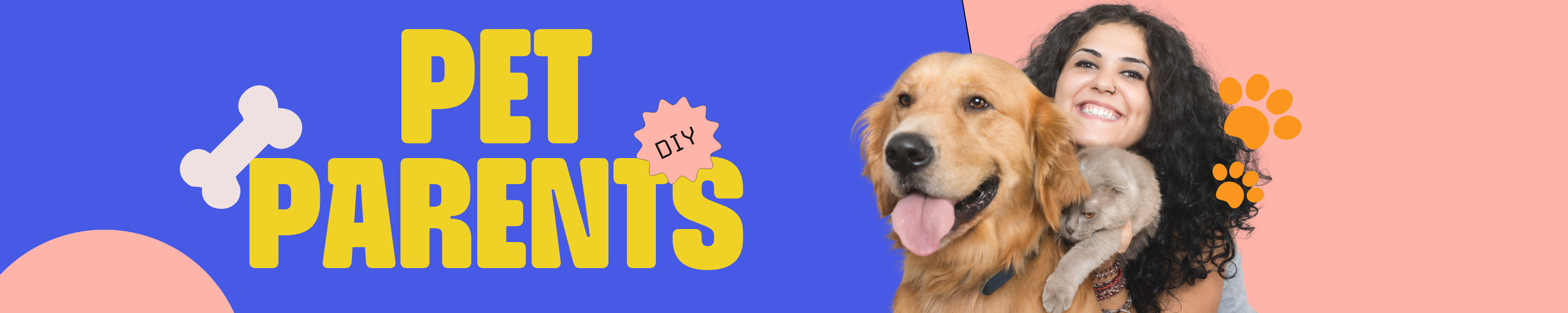 Amazon.in: Kitsters: For Pet Parents