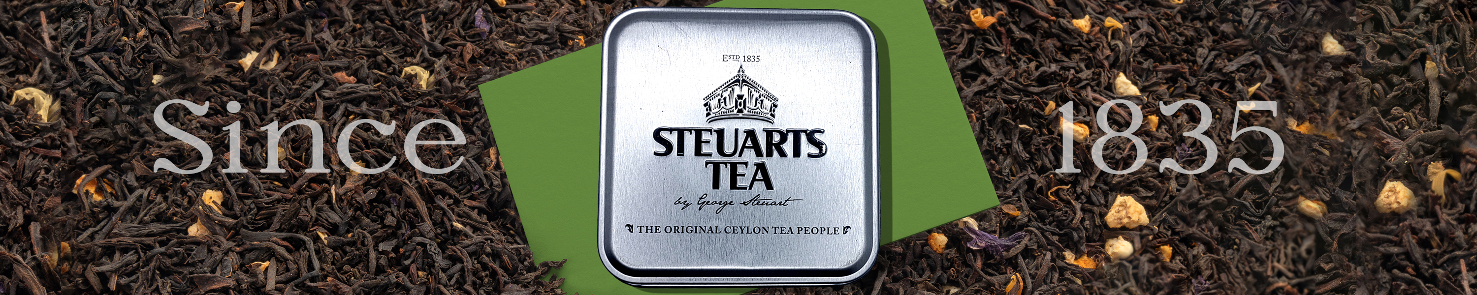 Amazon.co.uk: Steuart Tea