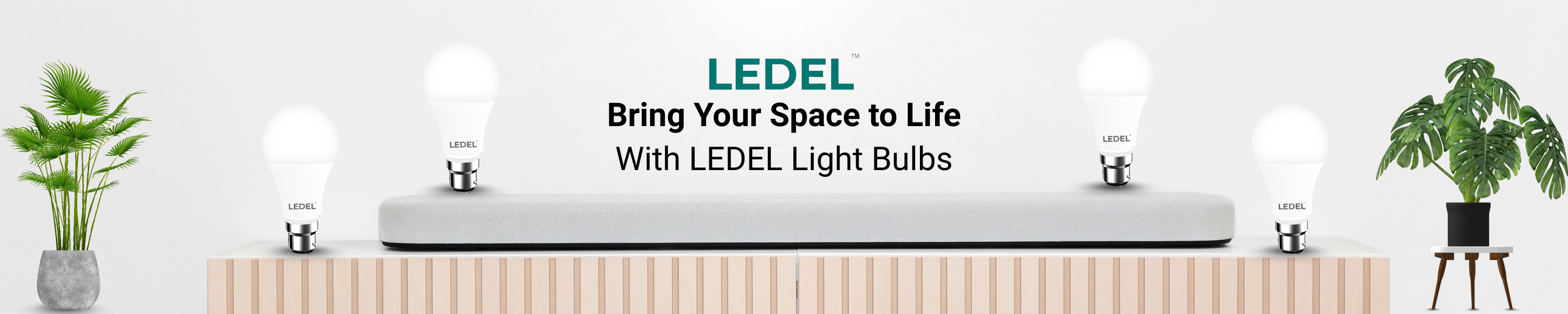 Amazon.in: LEDEL