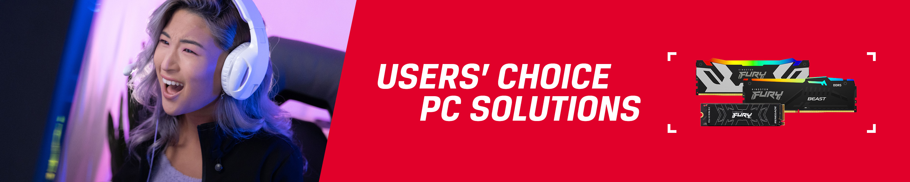 Amazon.com.au: Kingston: RBV PC Solutions