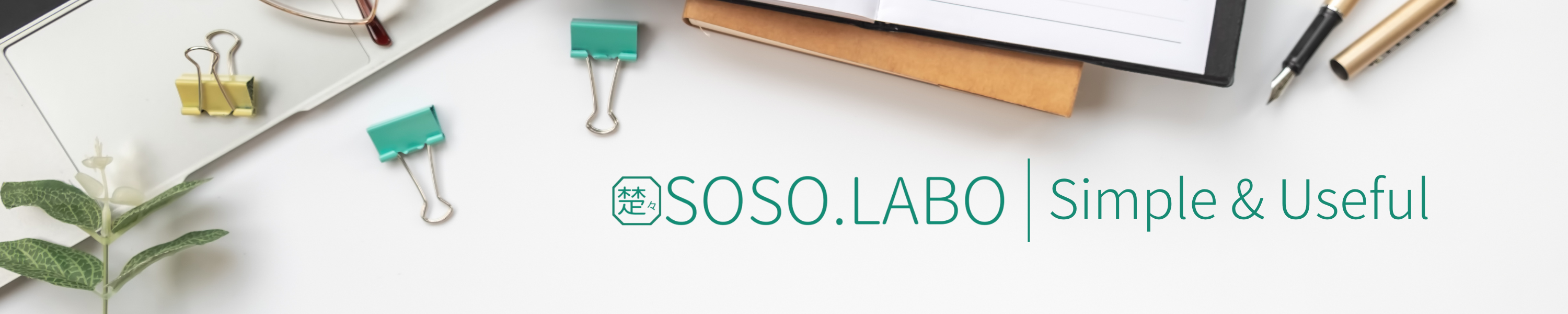 Amazon.co.jp: SOSO.LABO: MG24ガジェットケース