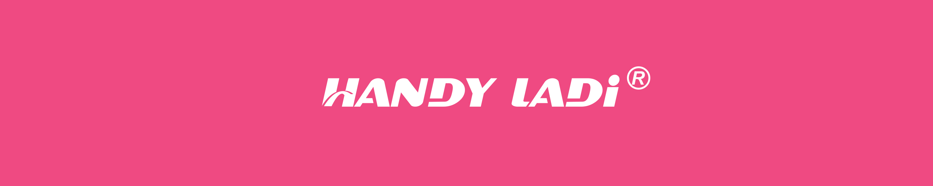Amazon.sg: HANDY LADi