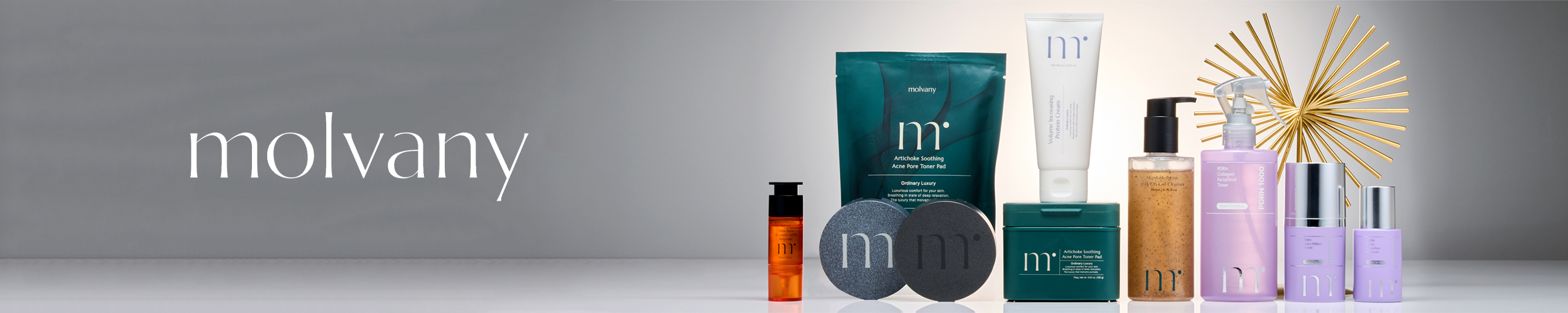 Amazon.co.jp: molvany JAPAN: おすすめのセット