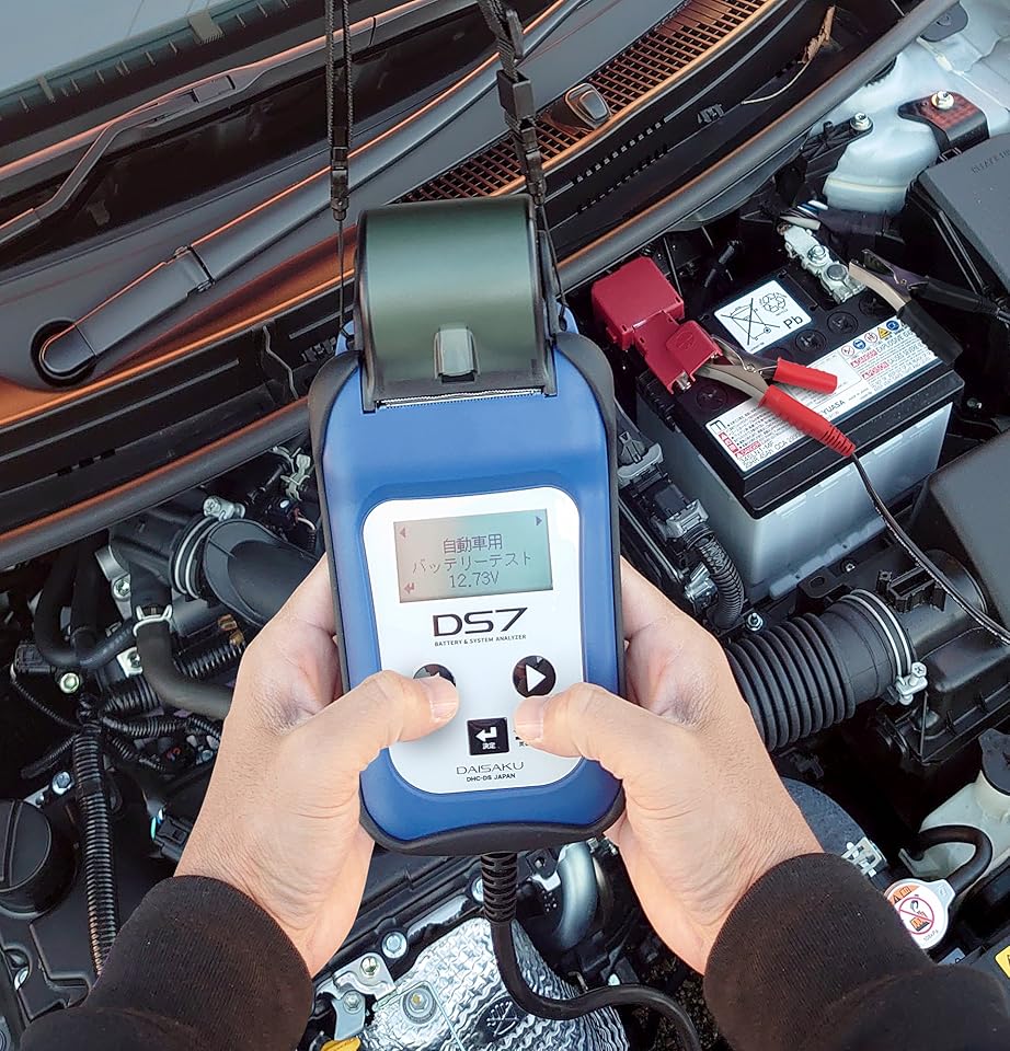 Amazon.co.jp: DHC-DS JAPAN