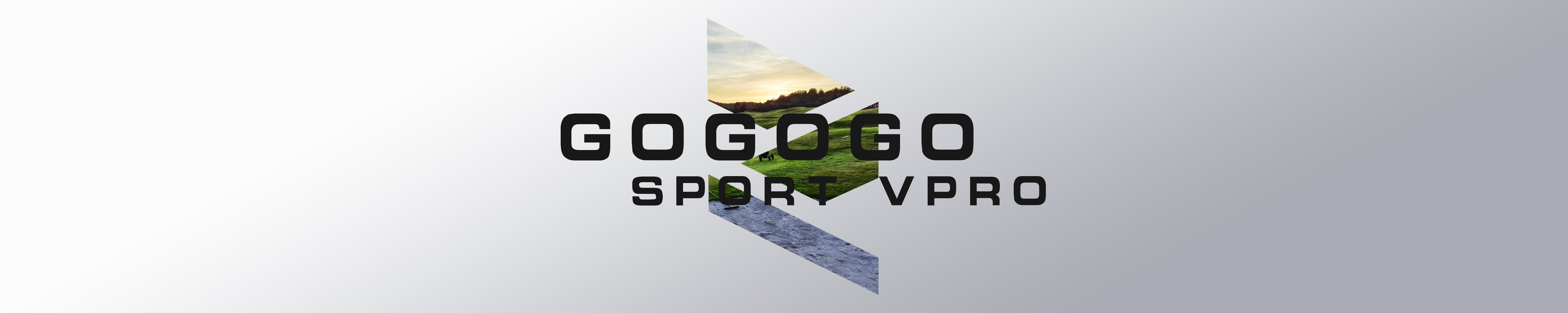 Amazon.co.jp: GOGOGO SPORT VPRO