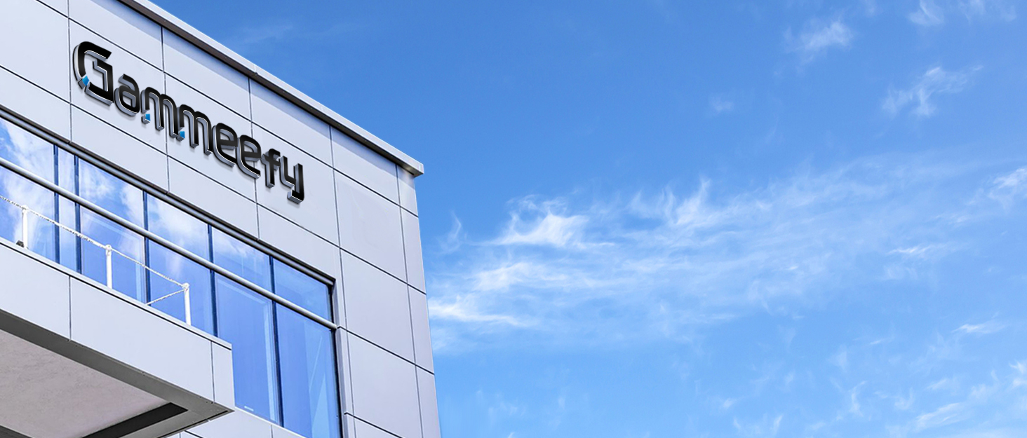 Gammeefy Hall Joystick Switch Controller