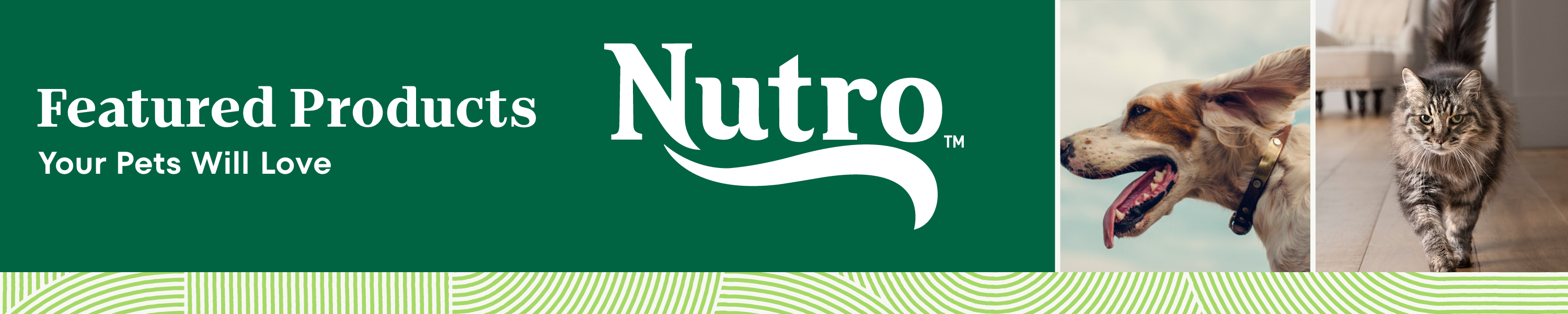 Amazon.ca: NUTRO : FEATURED PRODUCTS