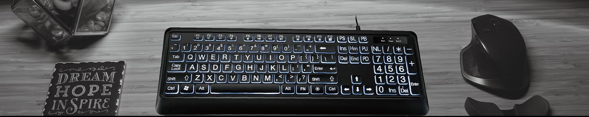 Amazon.com: KOPJIPPOM