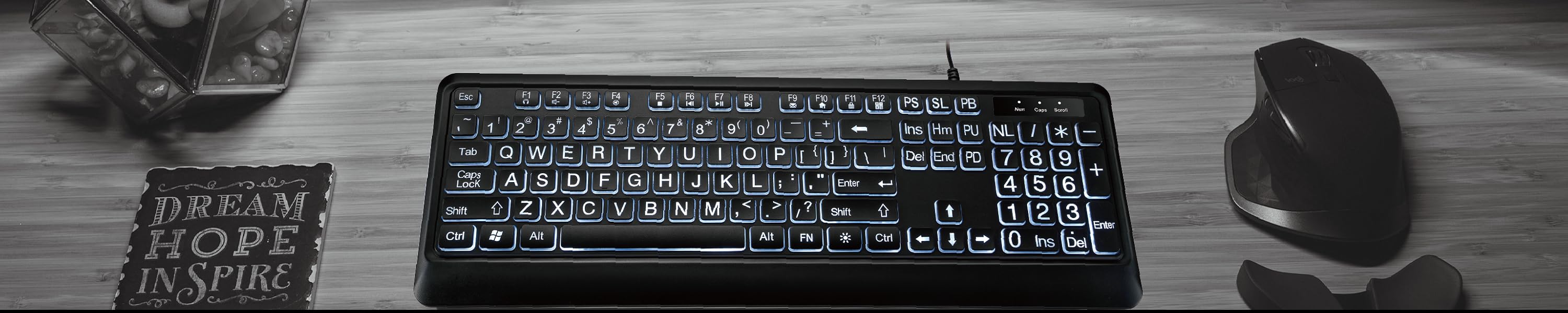 Amazon.com: KOPJIPPOM