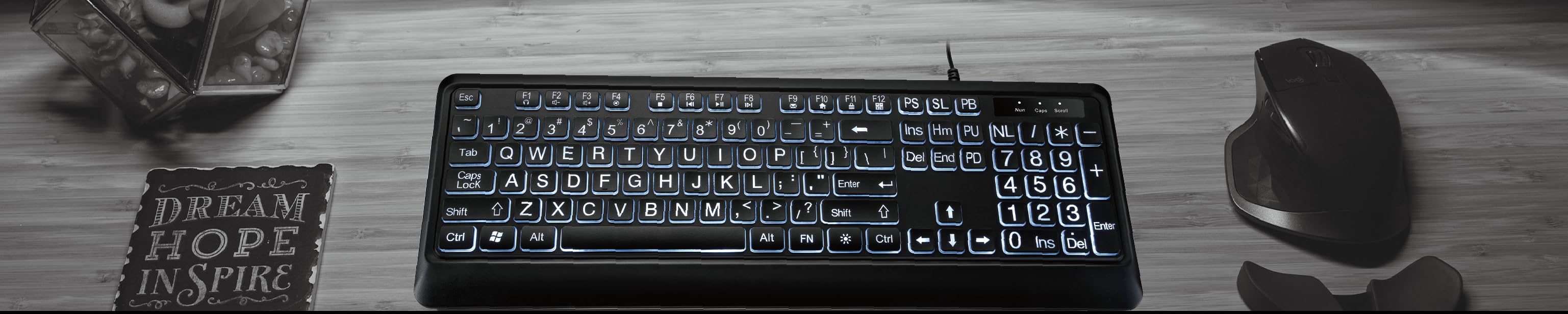 Amazon.com: KOPJIPPOM