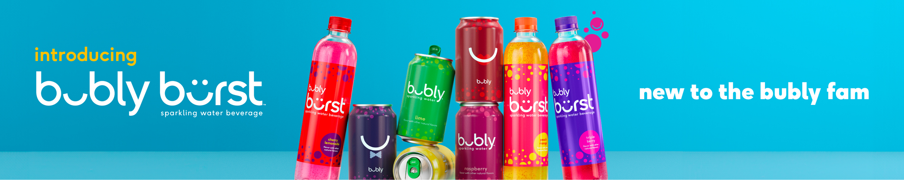 Amazon.com: Bubly: bubly Variety Packs