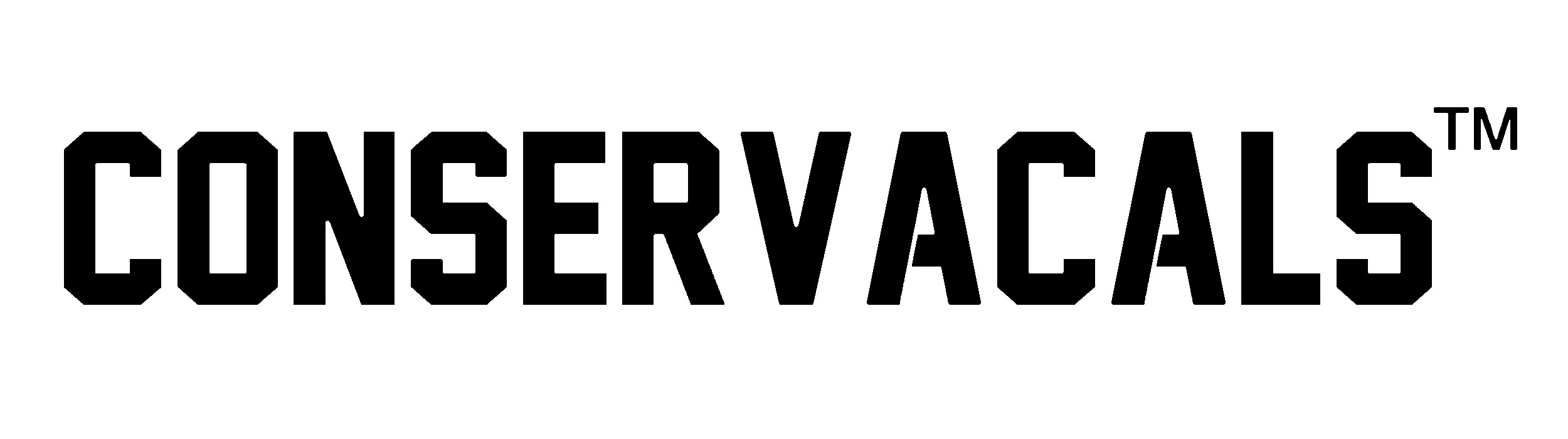 Amazon.com: High Quality Vinyl Decals