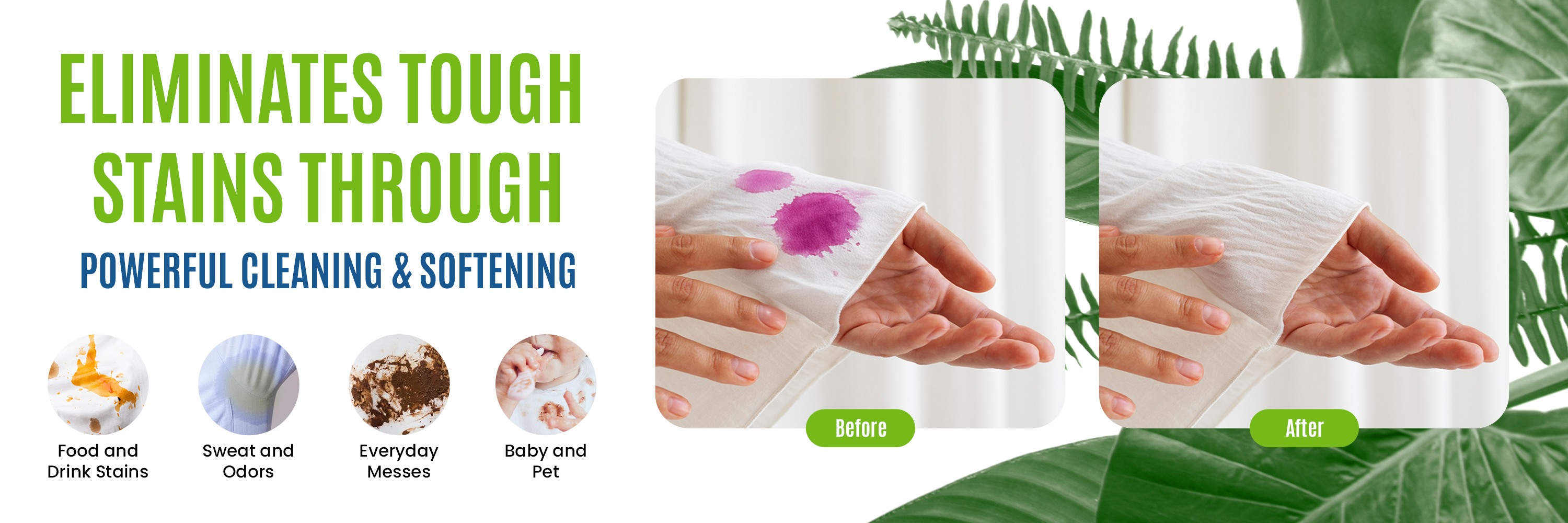 Amazon.com: ECO TURTLE: Eco Sheets