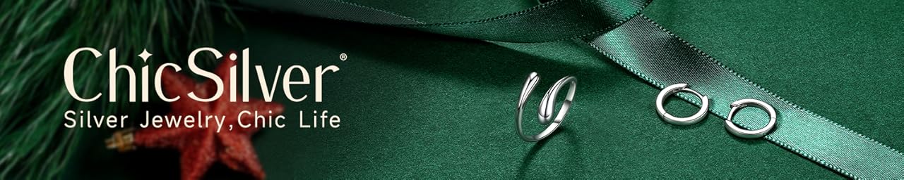 Amazon.com: ChicSilver: Big Deal