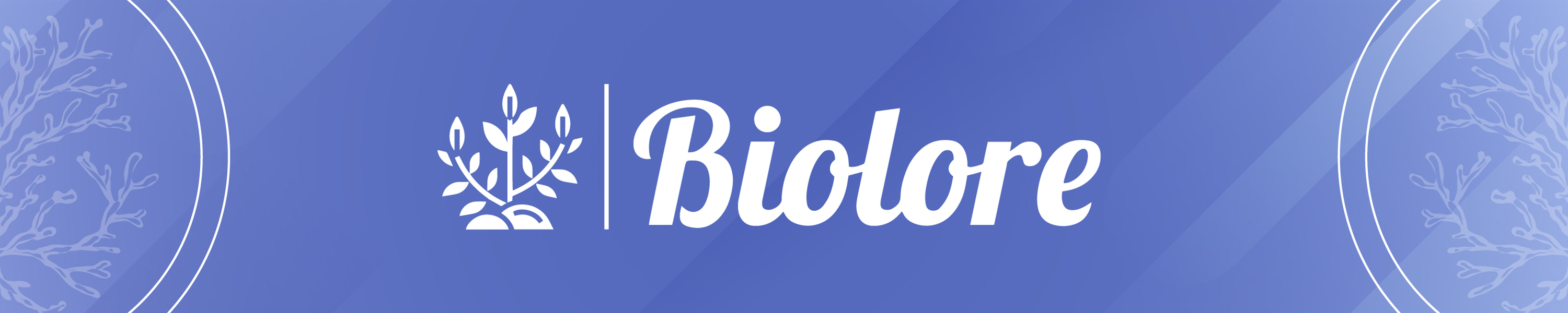 Amazon.com: Biolore: Sea Moss Gel