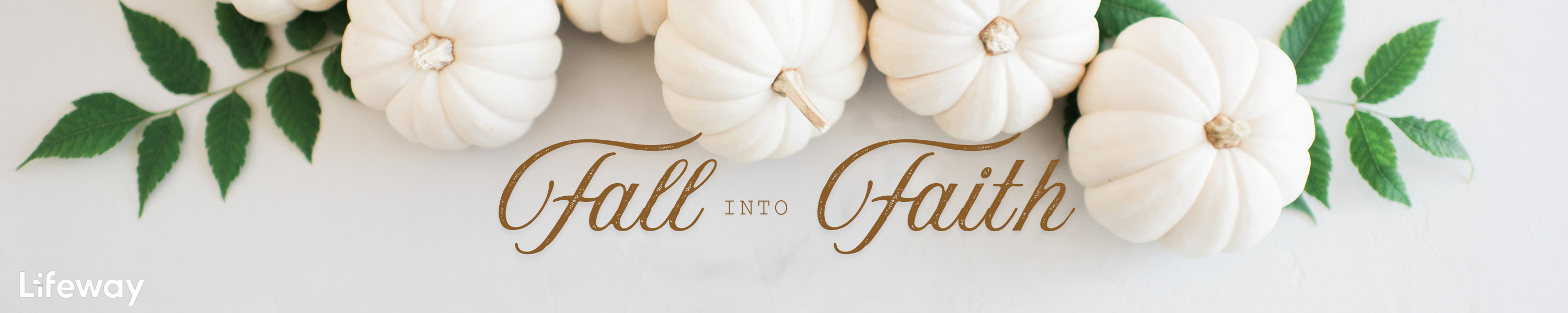 Amazon.com: Lifeway: Fall Into Faith