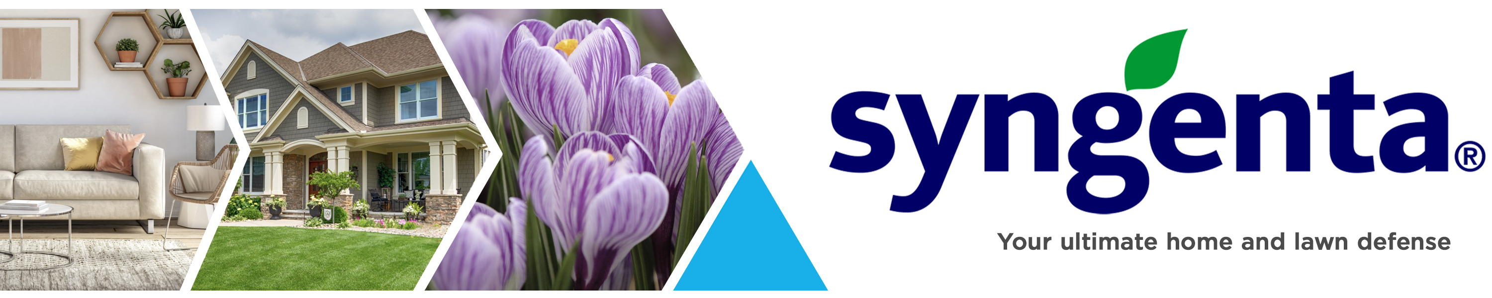 Amazon.com: Syngenta: Shop All