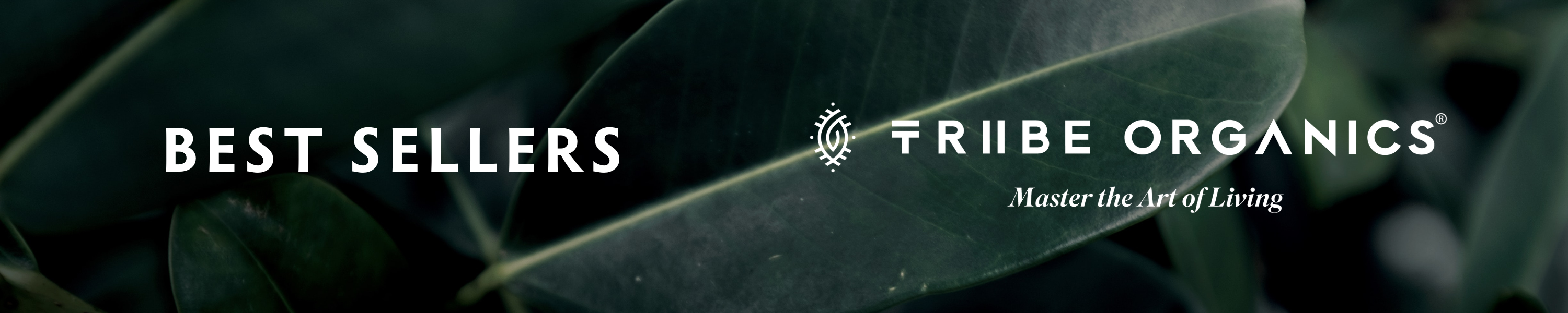 Amazon.com: TRIBE ORGANICS: Moringa