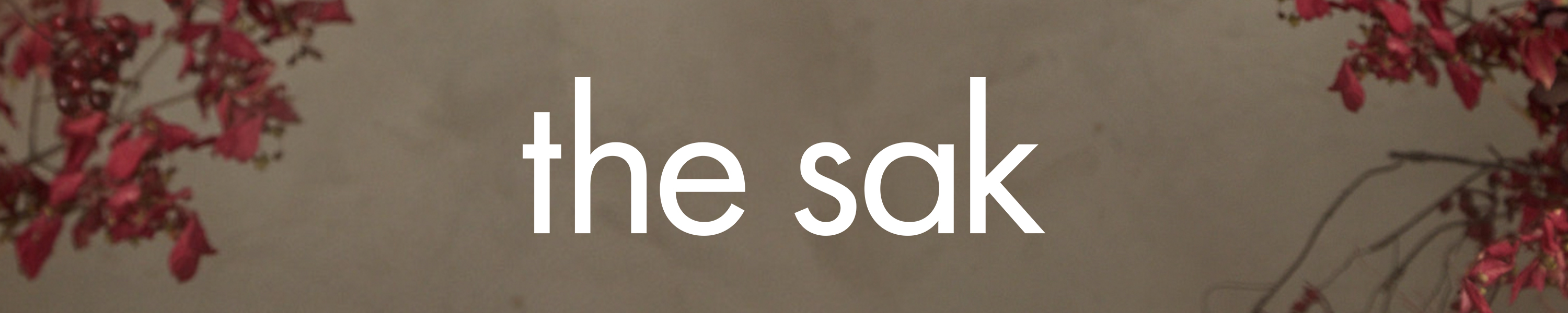 Amazon.com: The Sak: Suede