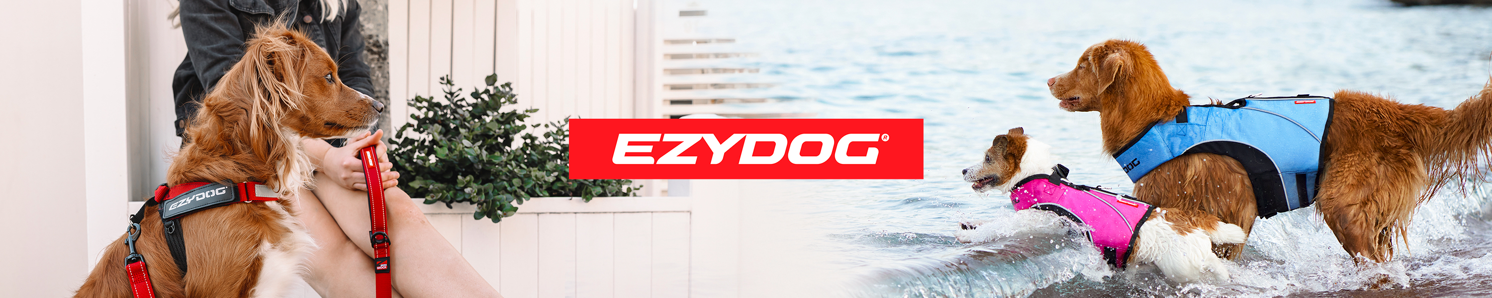 Amazon.com: EzyDog: All Products