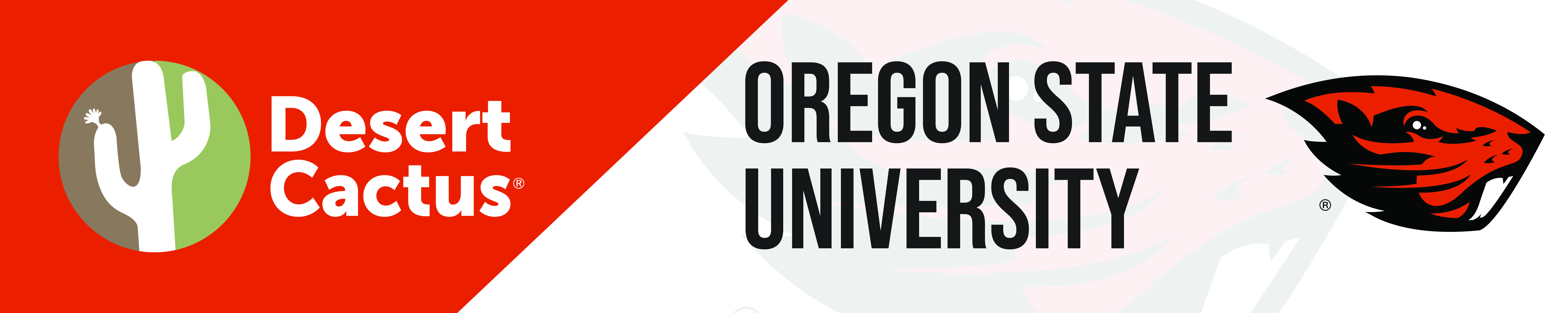 Amazon.com: Desert Cactus: Oregon State - Flags & Frames