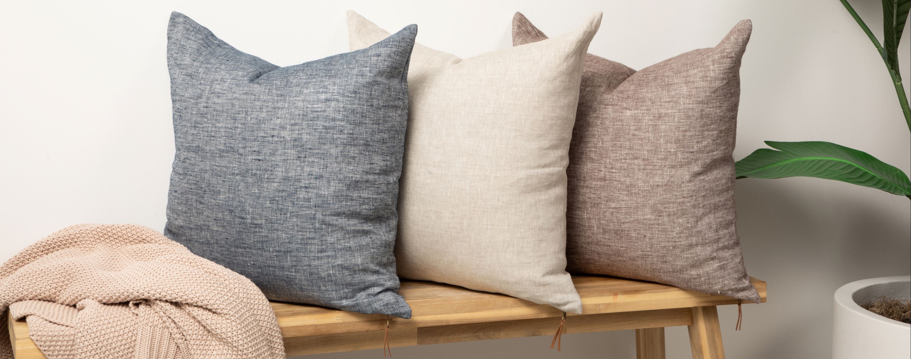 Amazon.com: Cali + Ricky