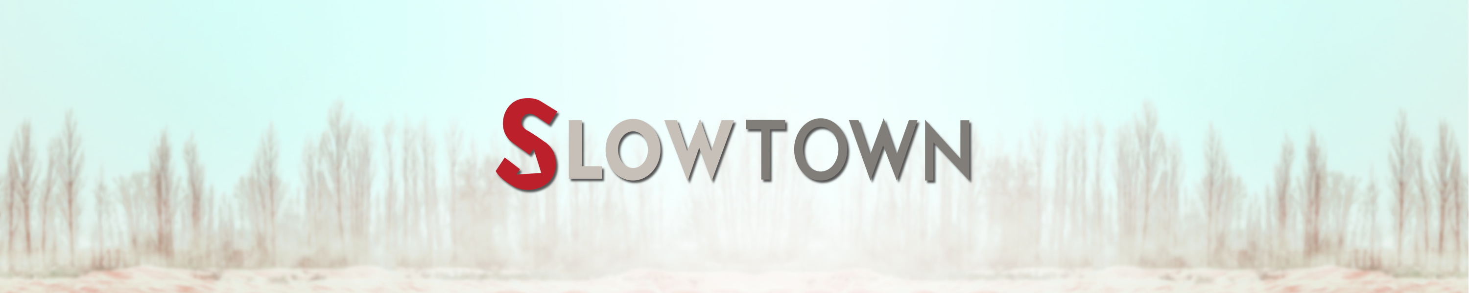 Amazon.com: SLOWTOWN: WOMEN'S FLEECE JACKET