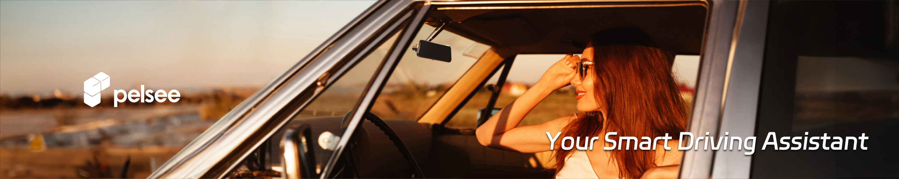 Amazon.com: pelsee: Installation Guide