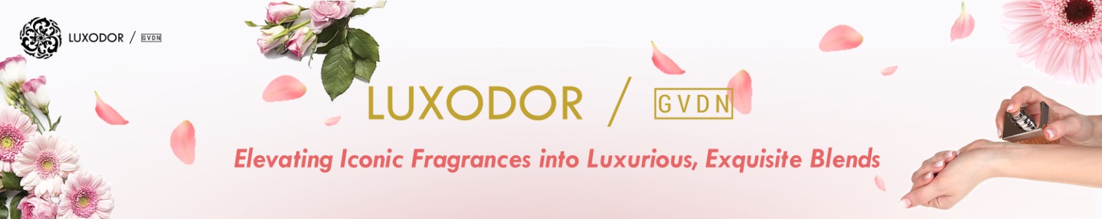 Amazon.com: LUXODOR NICHE PERFUMES