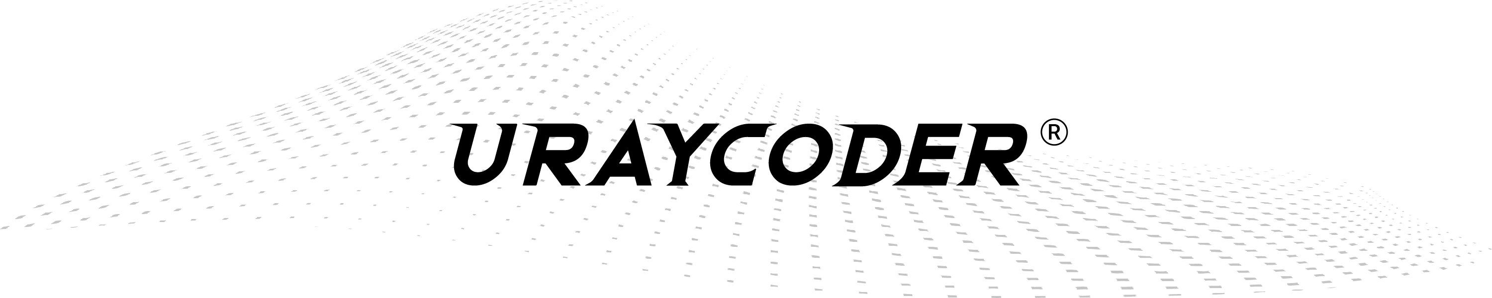 Amazon.ca: Professional Encoder Decoder