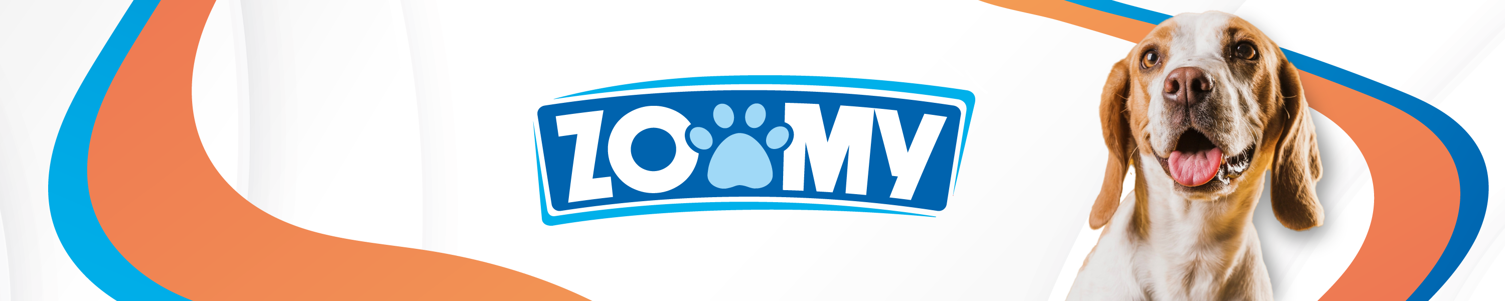 Amazon.com.mx: ZOOMY