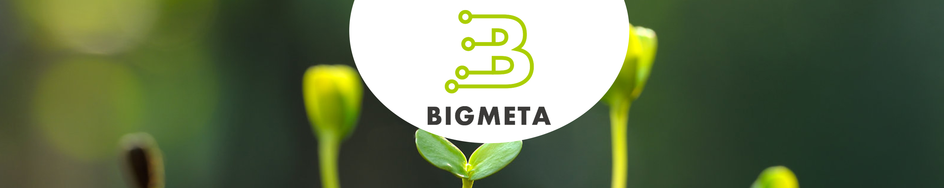 Amazon.com: Bigmeta: Spring