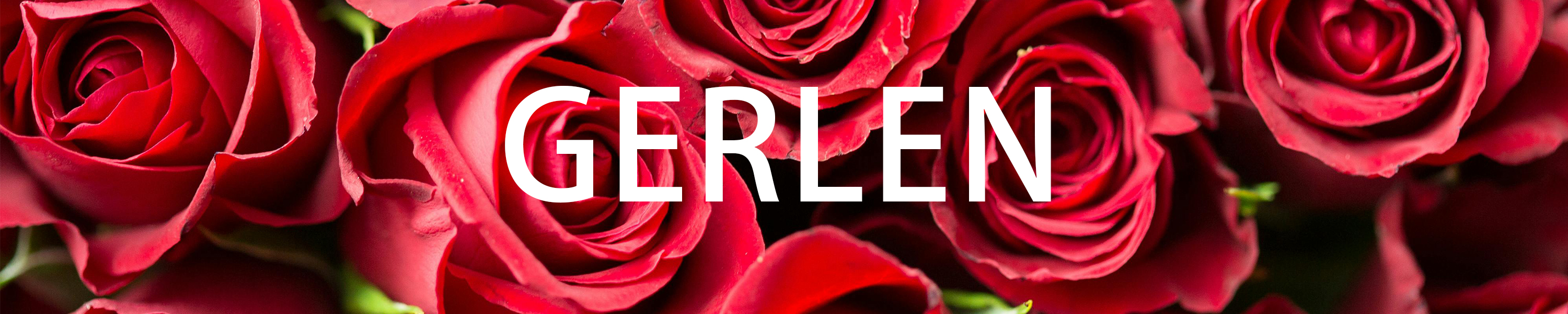 Amazon.com: GERLEN