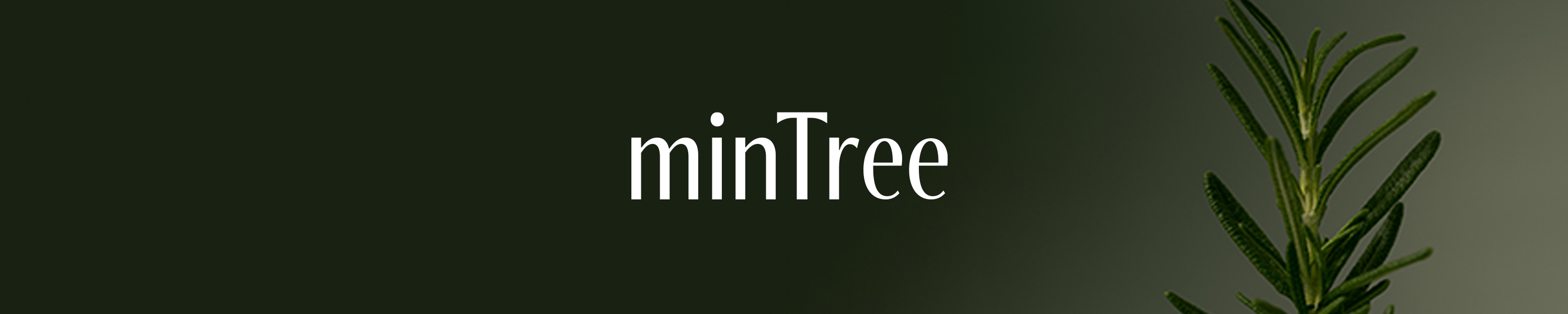 Amazon.com: minTree : Care for Tomorrow: Scalp Care