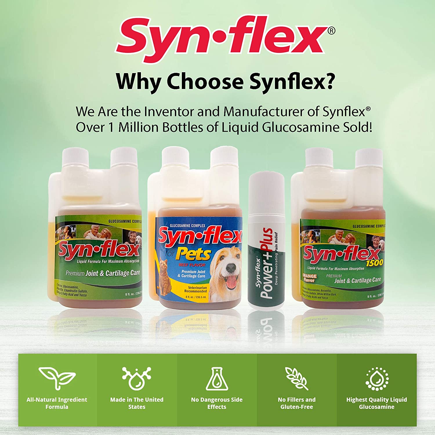 Amazon.com: Synflex America