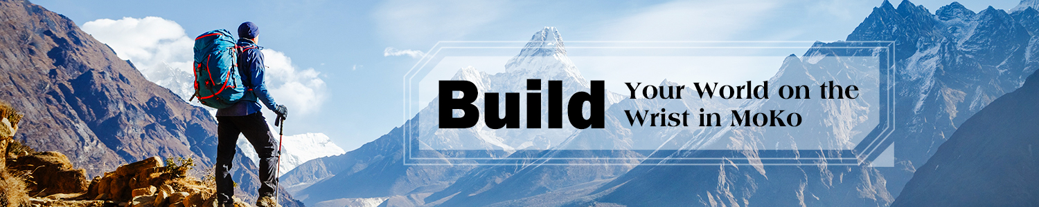 Amazon.ca: MoKo: For Fitbit Watch