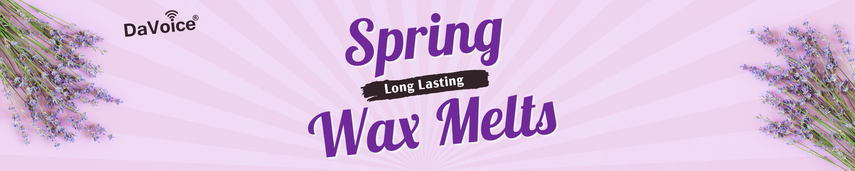 Amazon.com: DaVoice: Spring Wax Melts