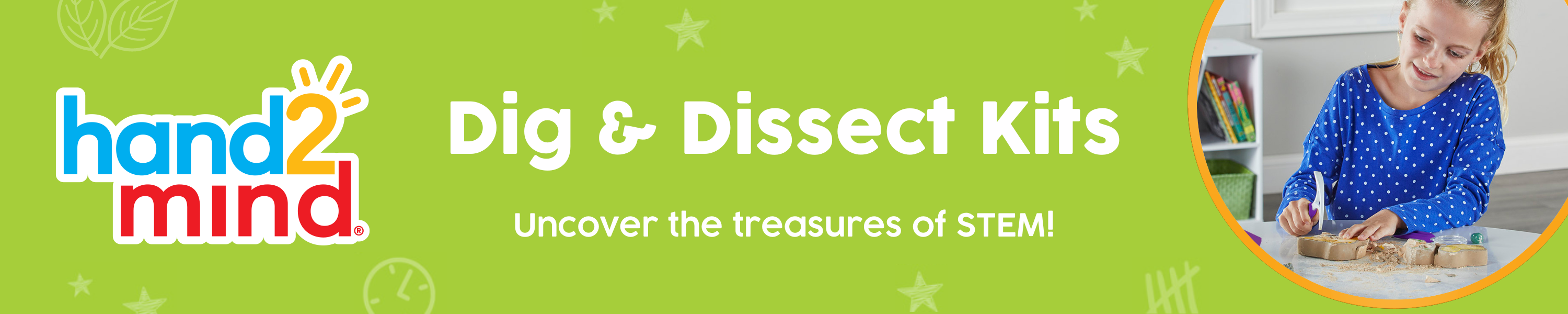 Amazon.com: hand2mind: Dig & Dissect Kits