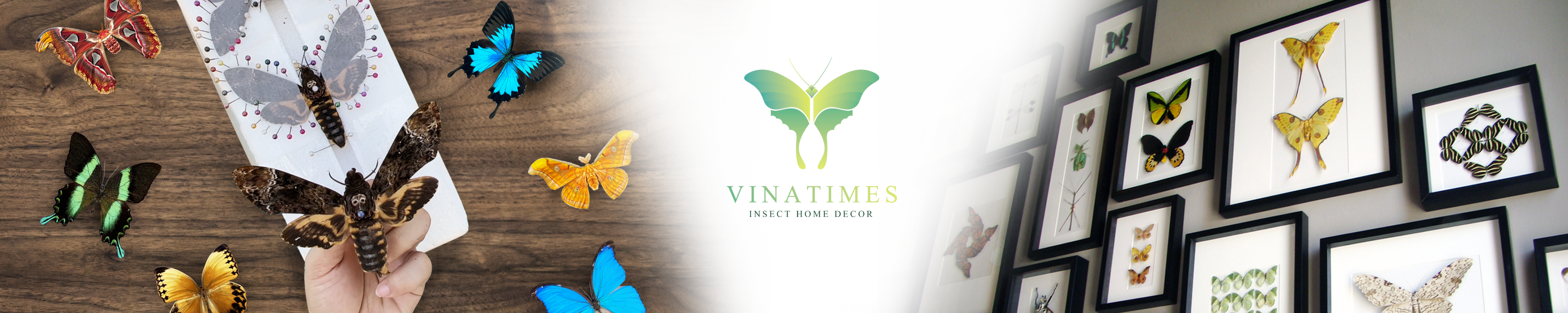 Vinatimes