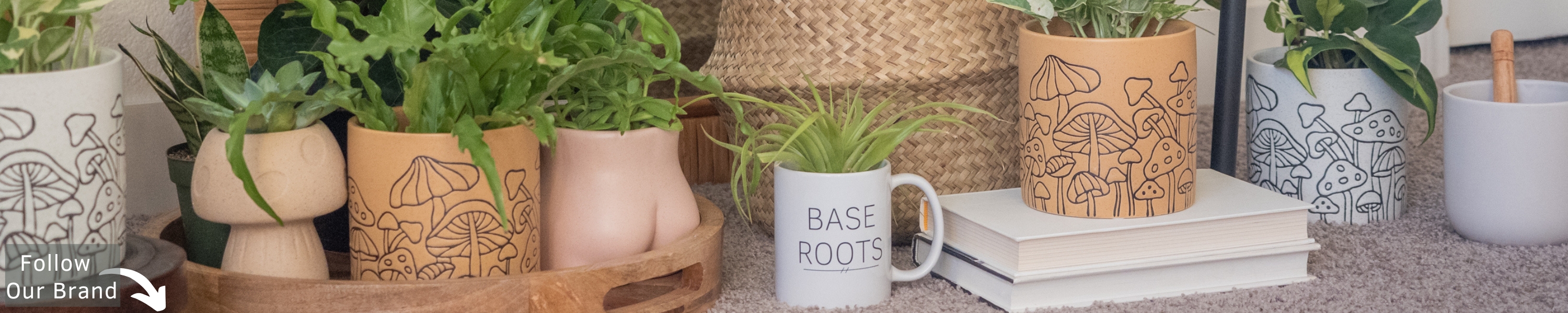 Amazon.com: BASE ROOTS: BUNDLES