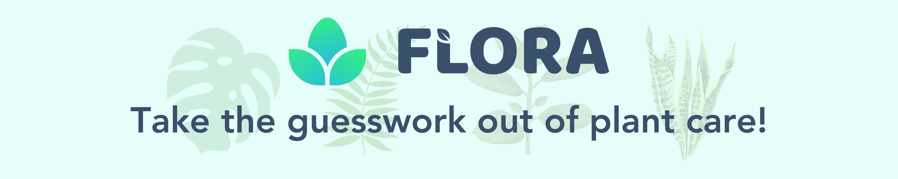 Amazon.com: Flora
